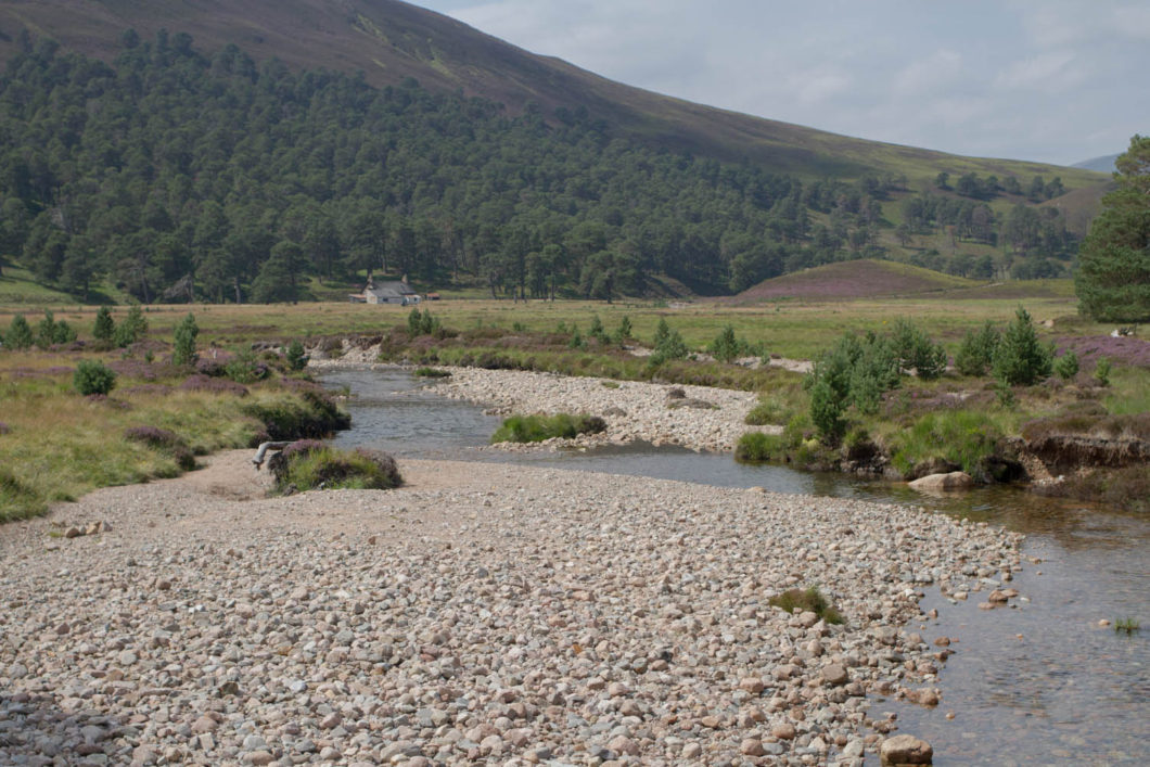 A trip to Braemar in summer - Full Stop Next Chapter