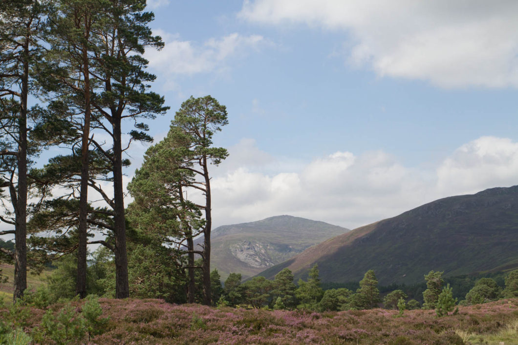 A trip to Braemar in summer - Full Stop Next Chapter
