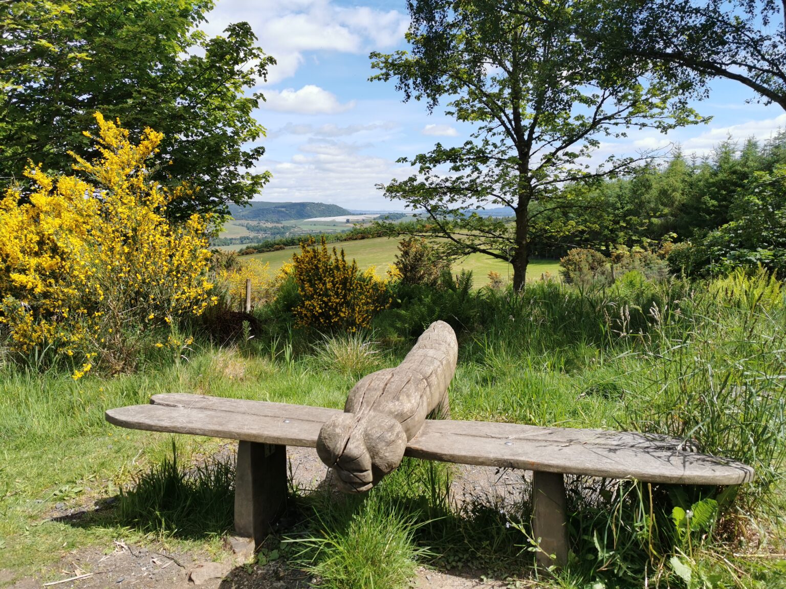 Five Perthshire walks - Full Stop Next Chapter